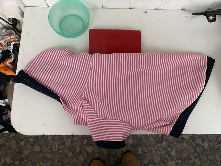 Отдам пакет вещей для небольшой собаки