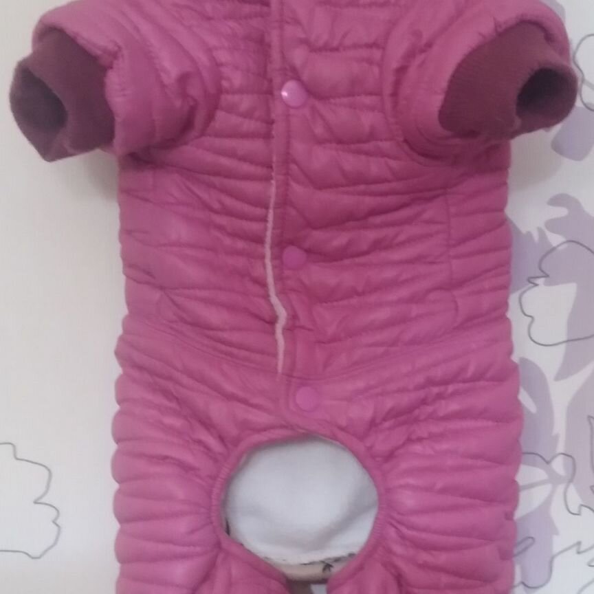 Вещи для маленьких собак