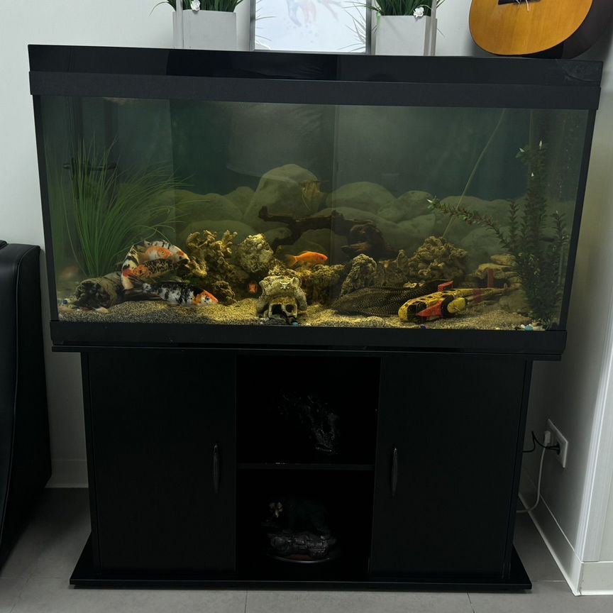 Аквариум с тумбой бу 400л