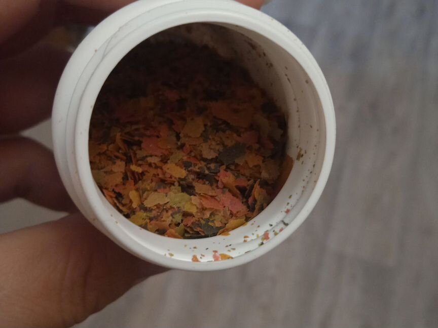 Корм для рыбок обмен