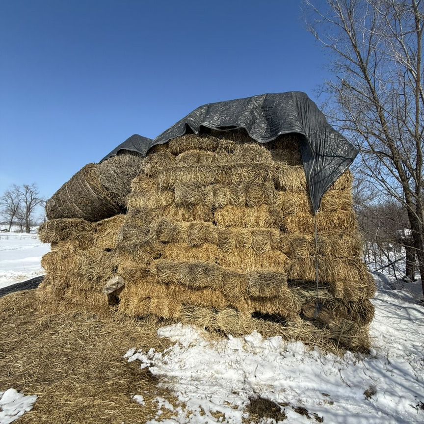 Солома в тюках