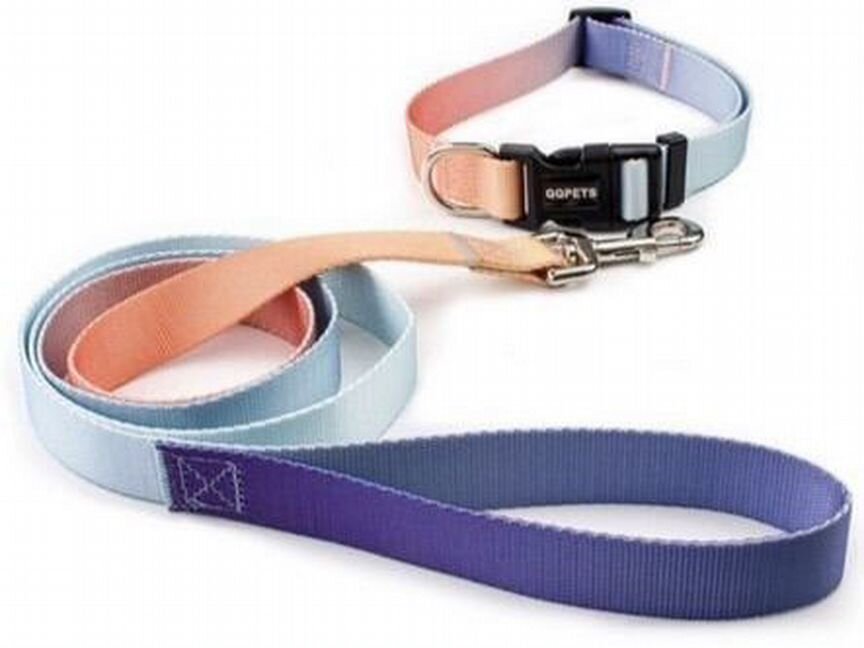 Поводок и ошейник