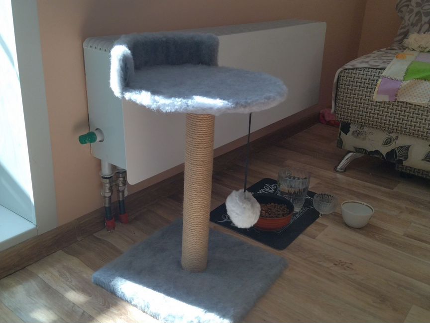 Когтеточка