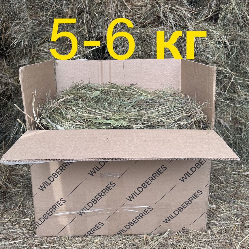 Сено для грызунов