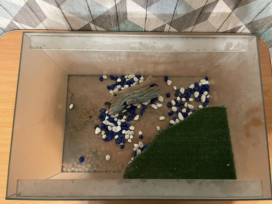 Акватеррариум для черепахи 50 литров