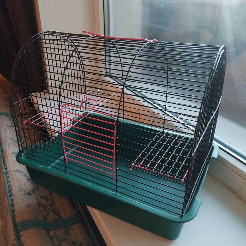 Клетки для грызунов