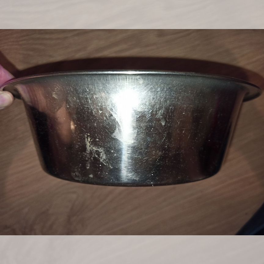 Миска из нержавейки, подгузник и пояс для собаки
