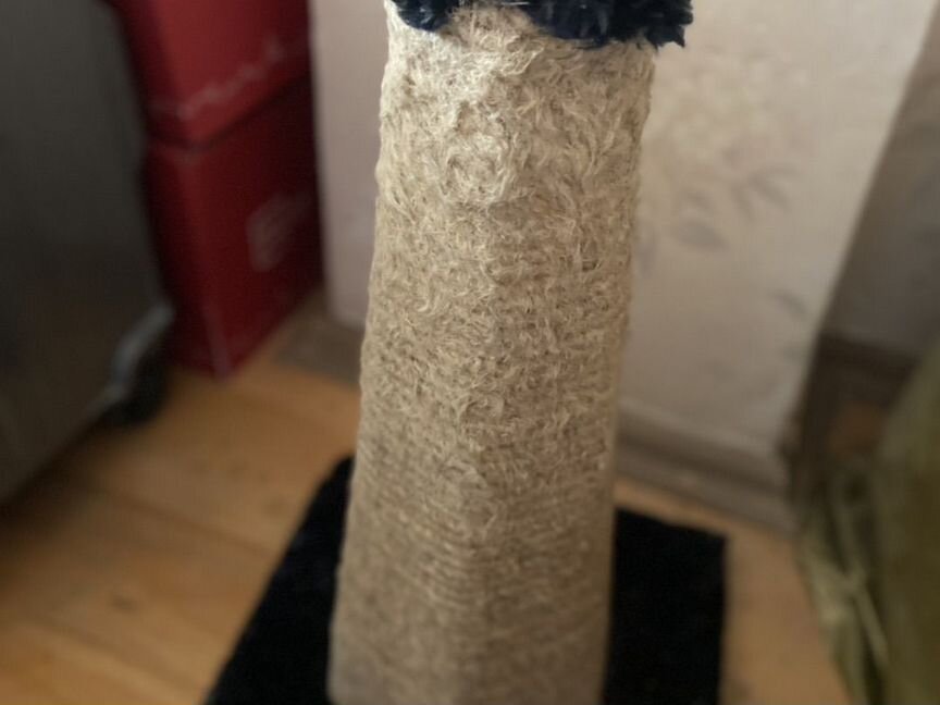 Когтеточка кошачья бу