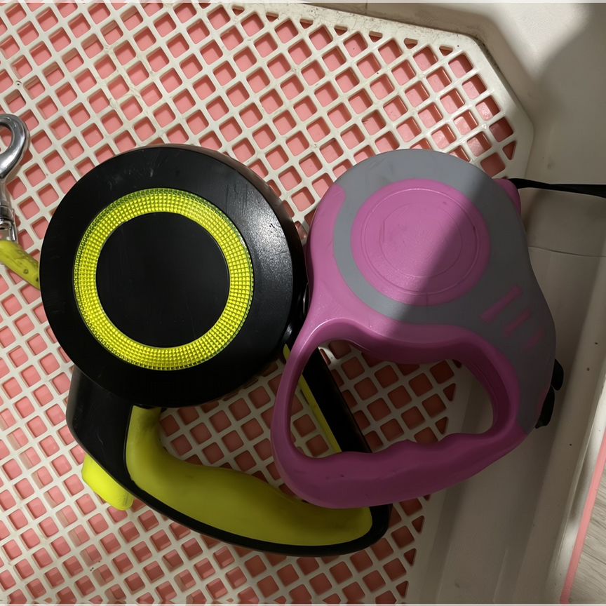 Вещи для собак