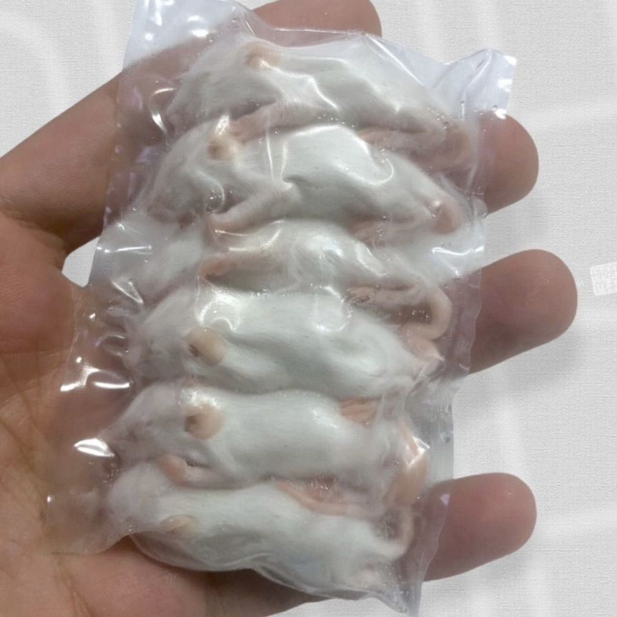 Мыши кормовые заморозка