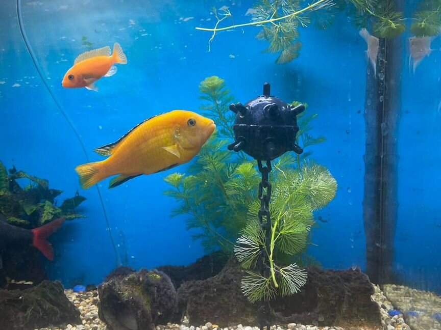 Плавающая морская мина (декор для аквариума)