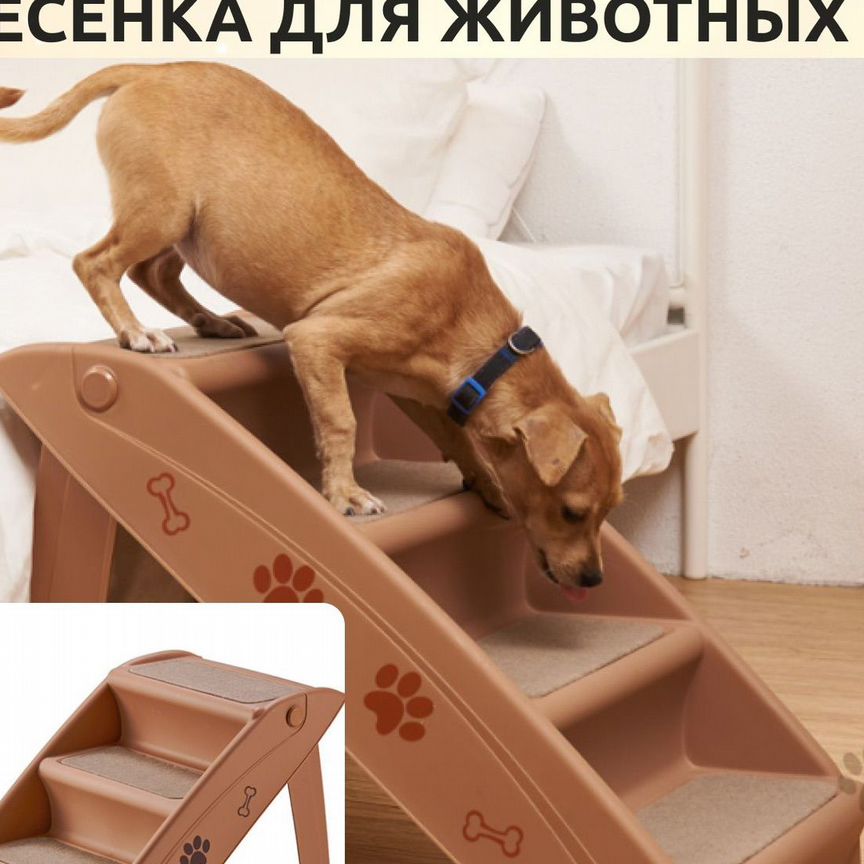 Новая складная лестница-ступеньки для собак