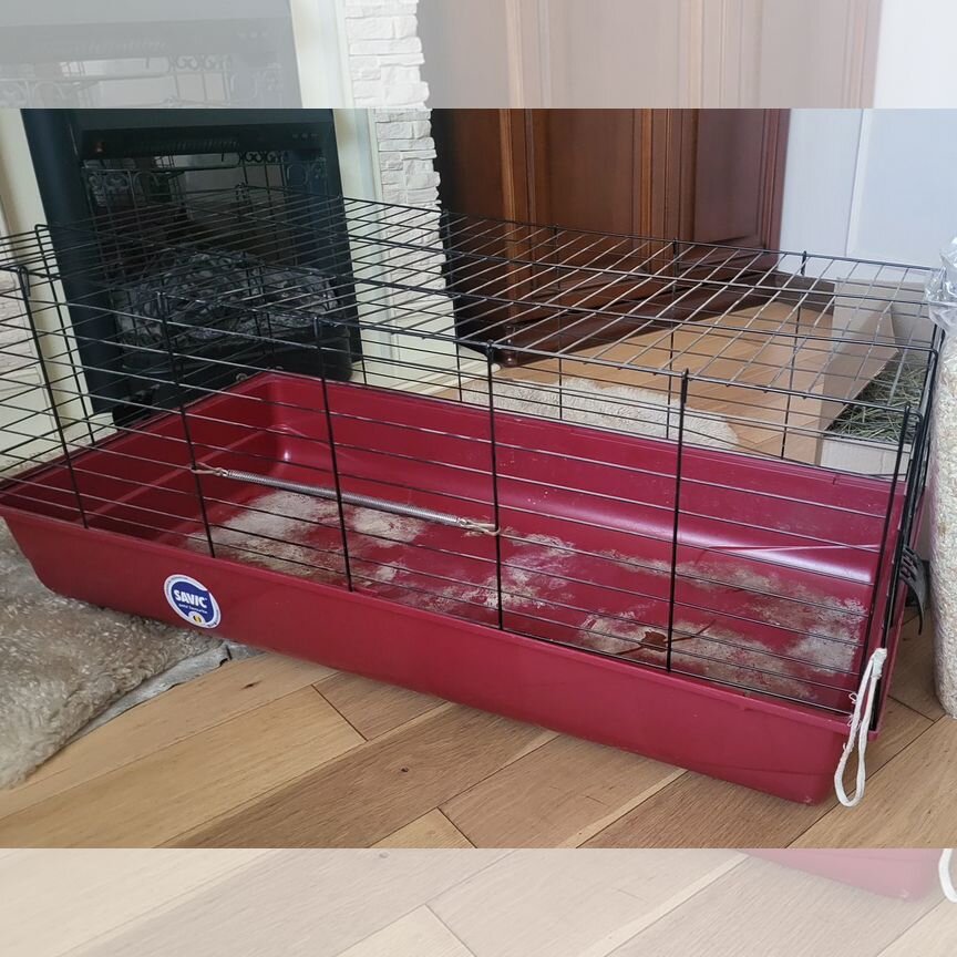 Клетка для морской свинки. Отдам, самовывоз