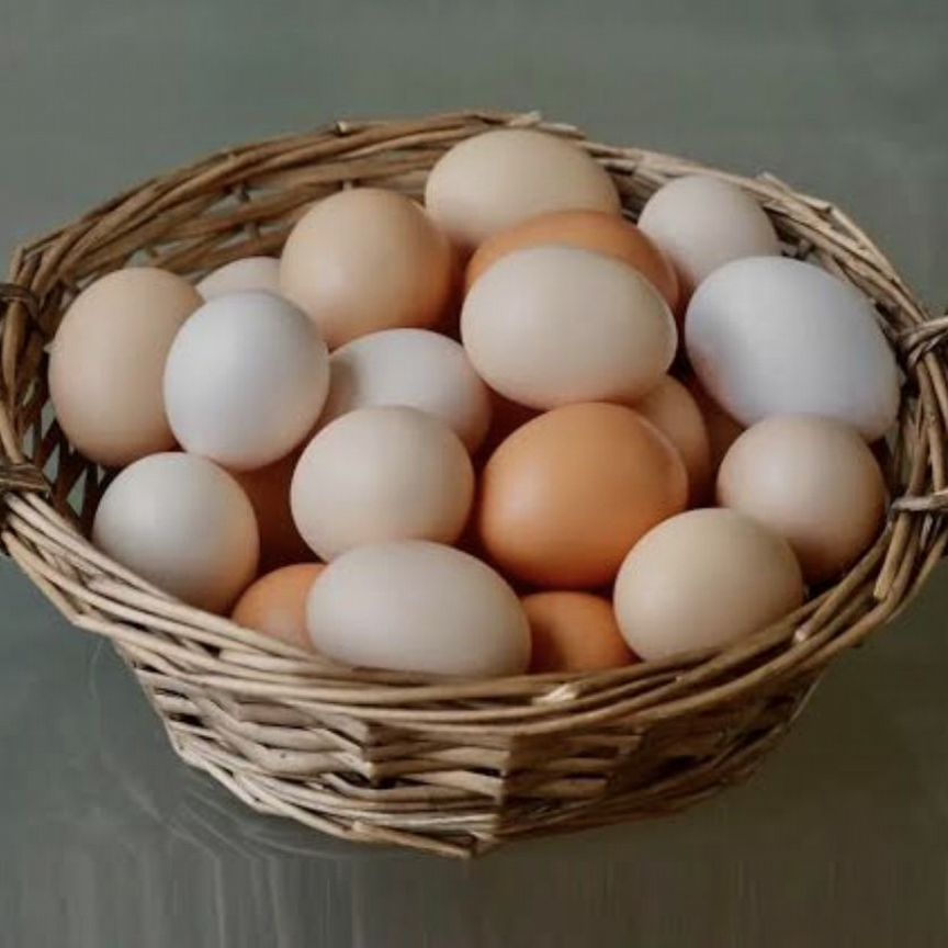 Домашние куриные яйца