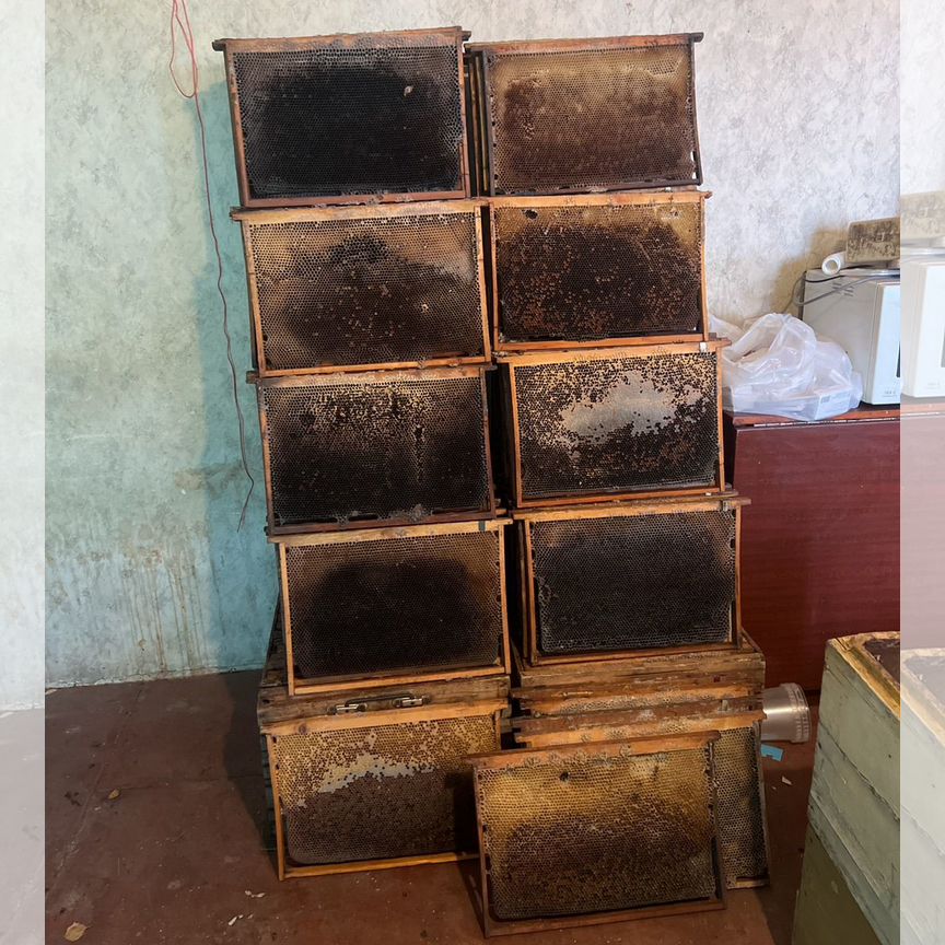 Рамка сушь для пчел