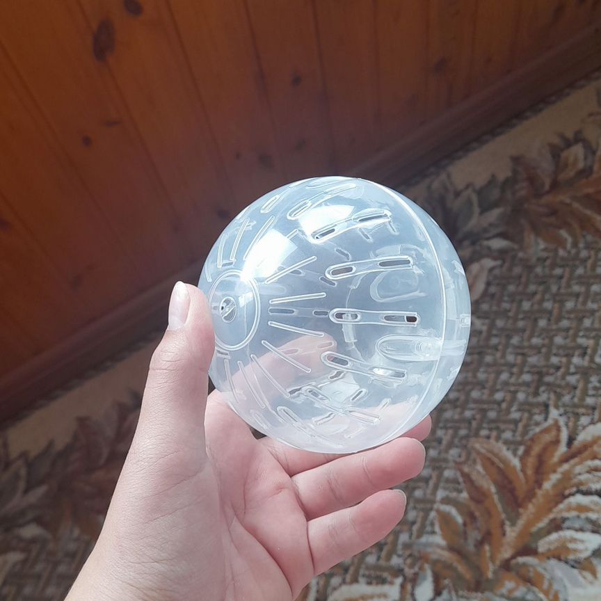 Шар для джунгарика