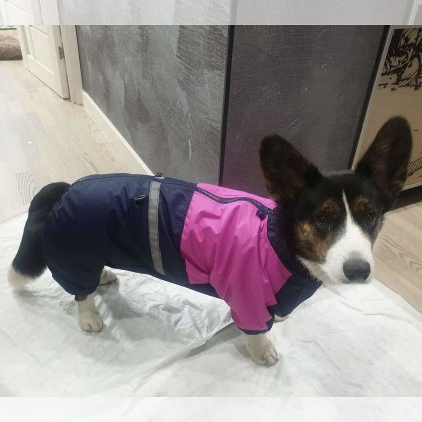 Комбинезон для собаки