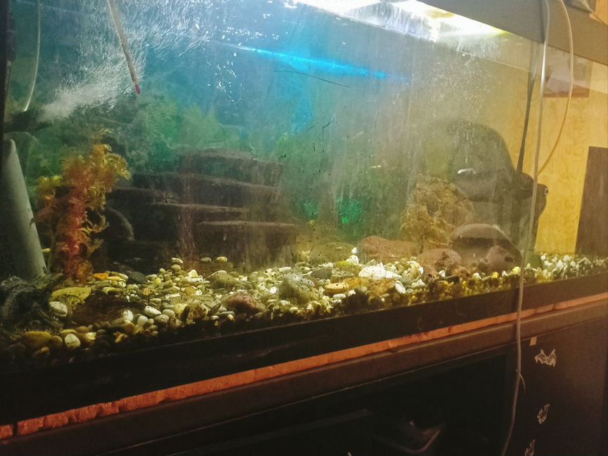 Аквариум 500 литров с тумбой и оборудованием