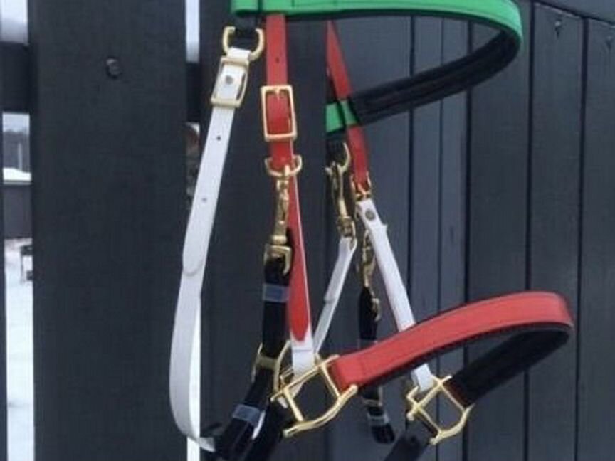 Оголовье для лошади