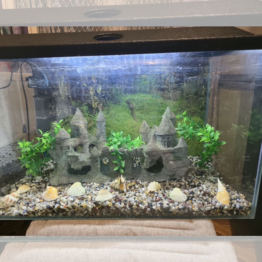 Аквариум на 80 литров