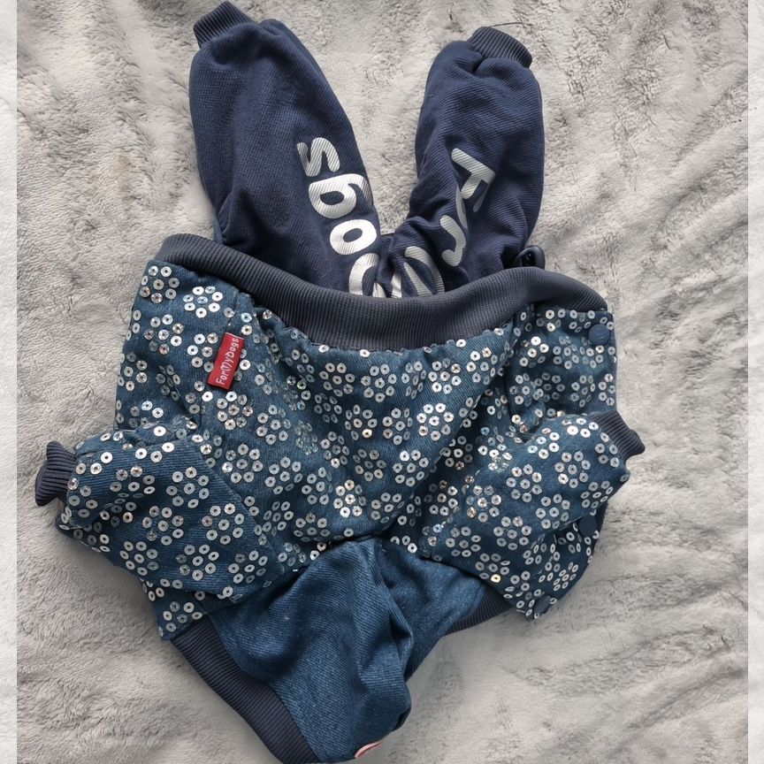 Костюм на маленькую собачку