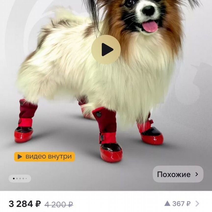 Обувь для собаки зооателье Софи