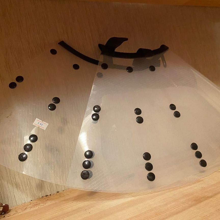 Ошейник для кошек