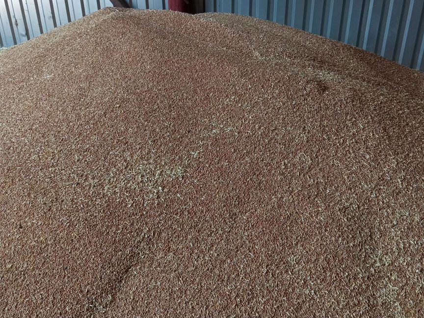 Корм для животных