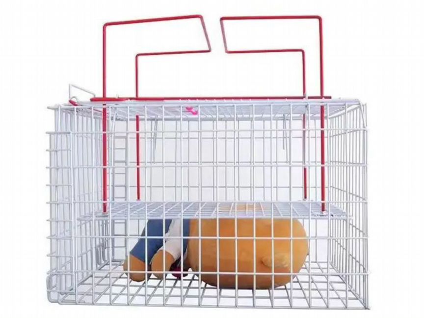 Клетка фиксатор для собак и кошек