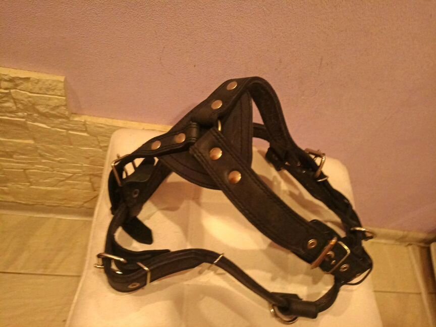 Шлейка кожаная для собаки