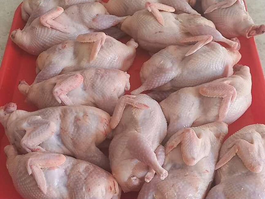 Мясо перепелов