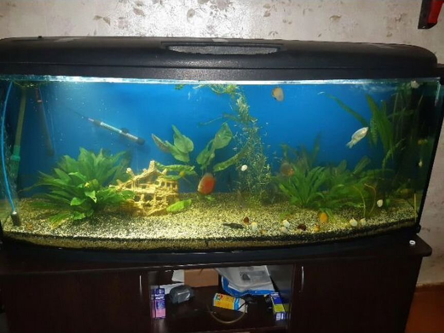 Аквариум 450л