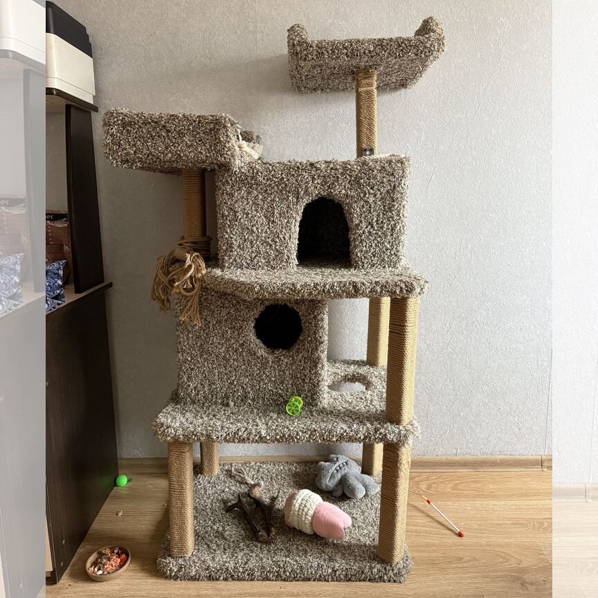 Когтеточка