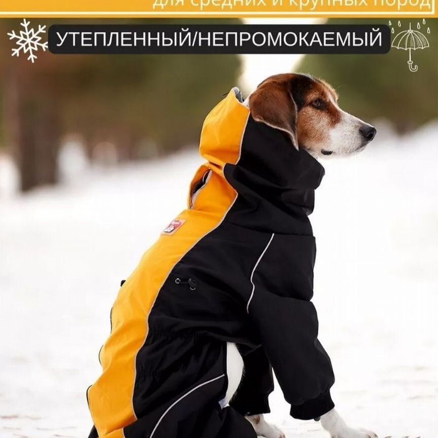 Комбинезон осень-зима для собаки