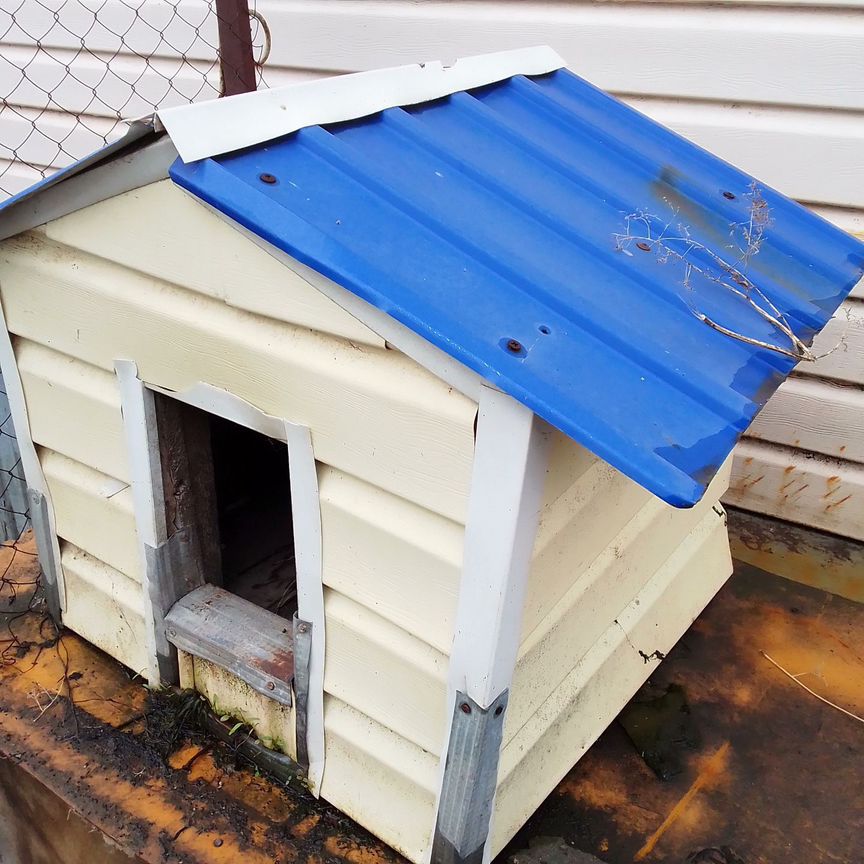 Будка для собаки