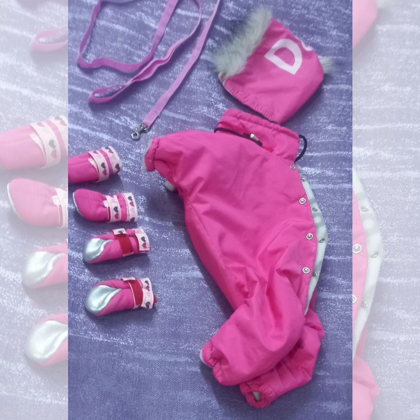 Комплект зимней одежды для собаки