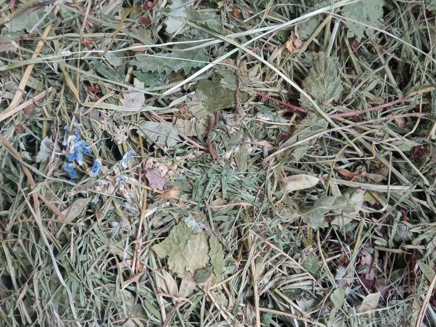 22, 23г сено обмен