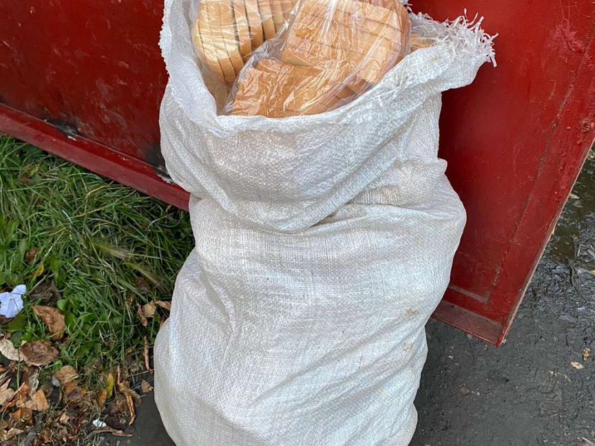 Хлеб скотине