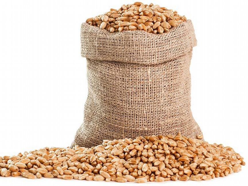 Пшеница овес-вика,ячмень