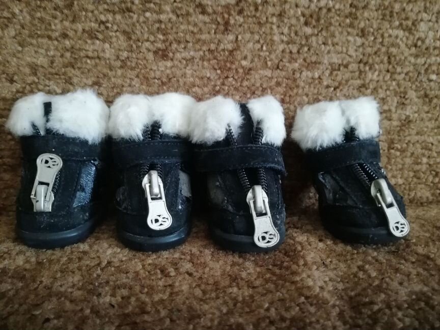 Одежда для маленьких собак