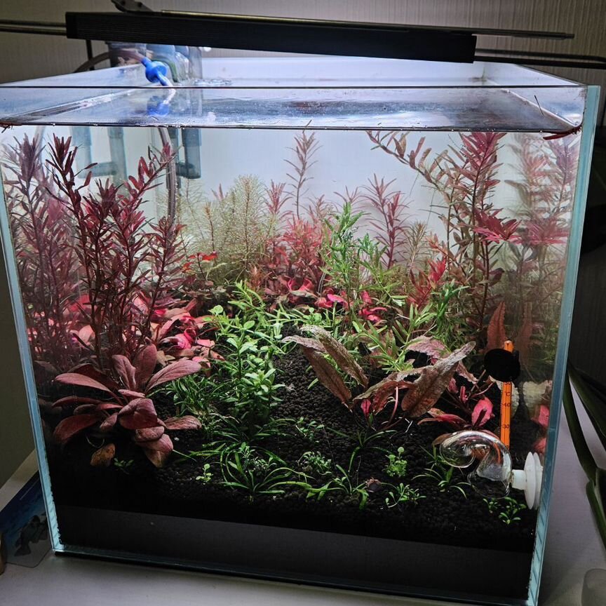 Аквариум 30х30х30 оптивайт