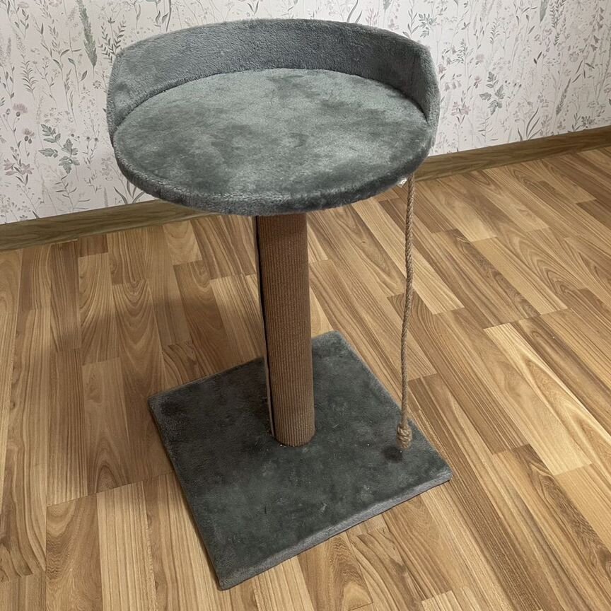 Когтеточка