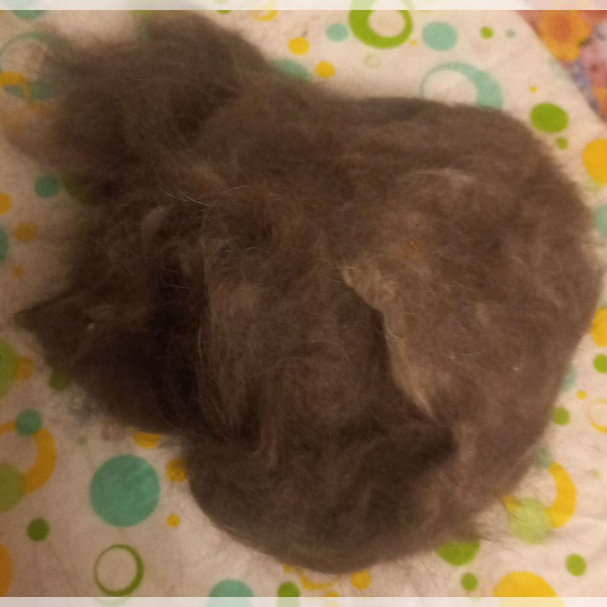 Собачий пух