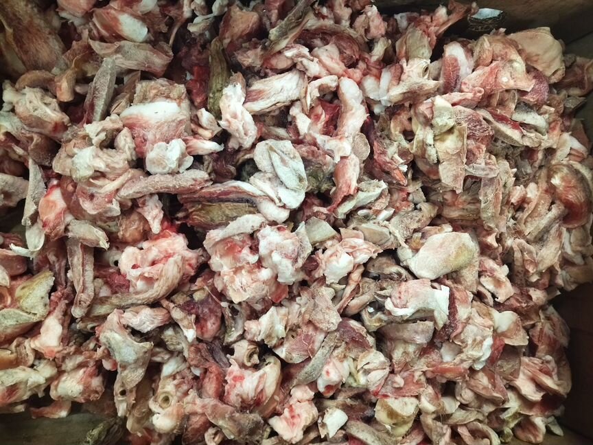 Мясо для собак свиная обрезь