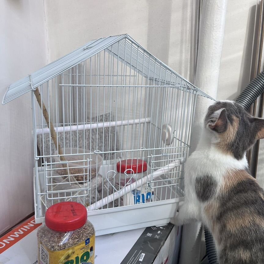 Клетка для попугая