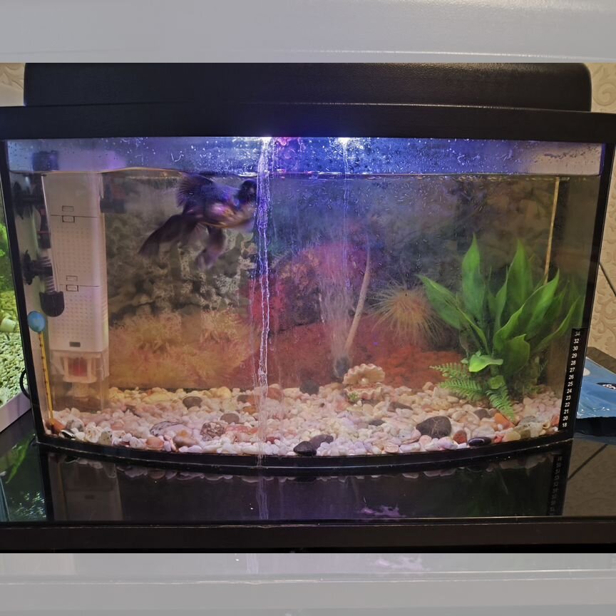 Аквариум 65 литров с телескопом
