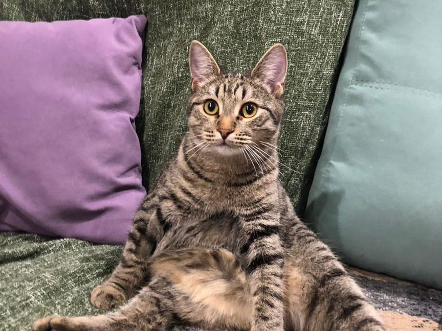 Митюша очень ласковый мальчик,5 месяцев