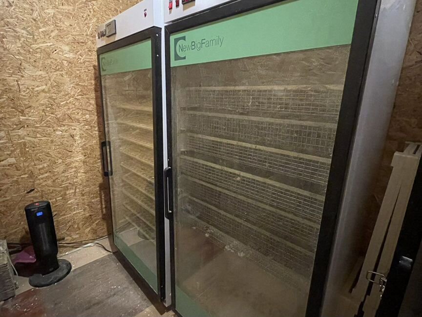 Комплект инкубаторов