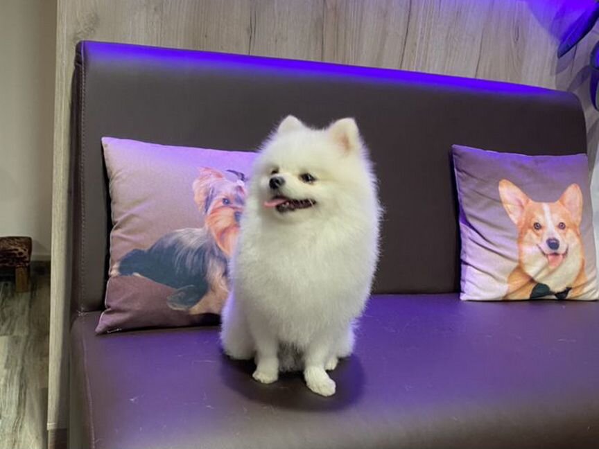 Вязка