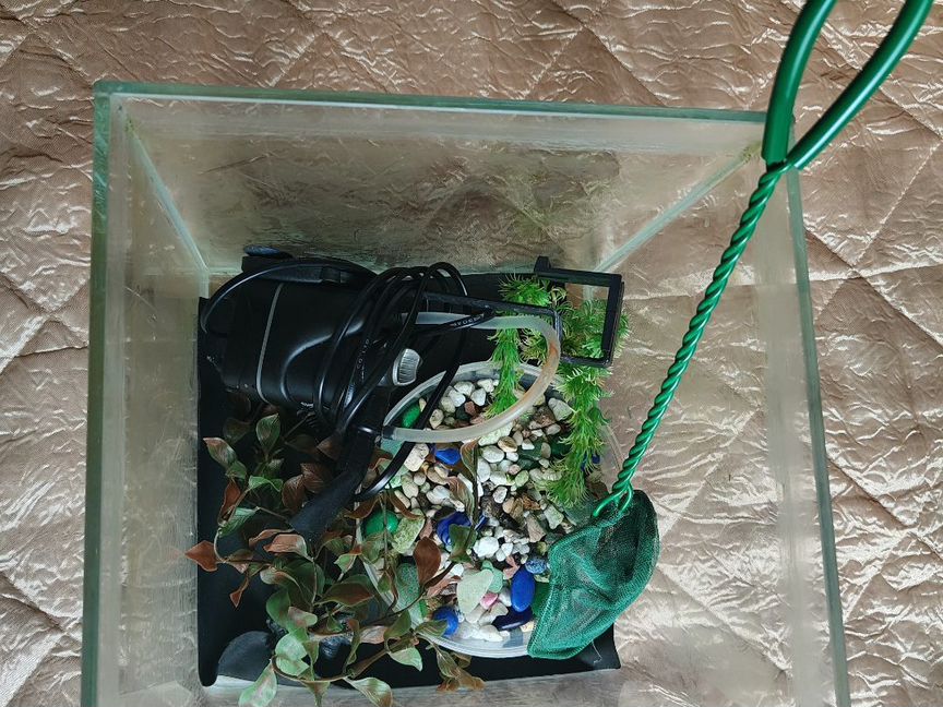 Аквариум с аксессуарами